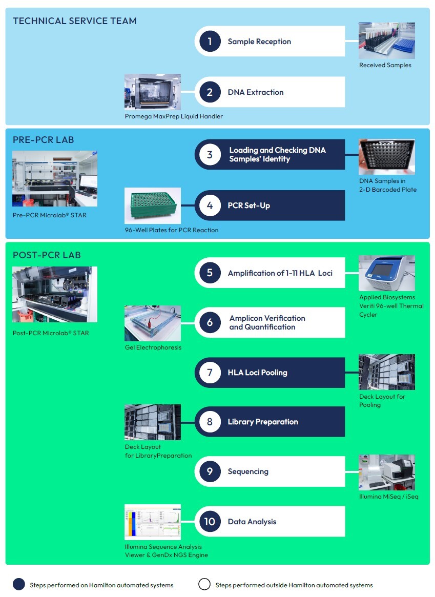 Hamilton Robotics | Anthony Nolan Case Study