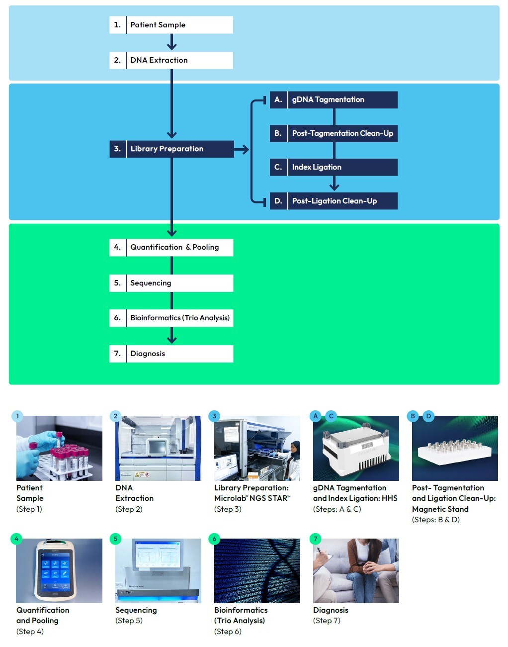 Hamilton Robotics | Al Jalila Children's Hospital Case Study