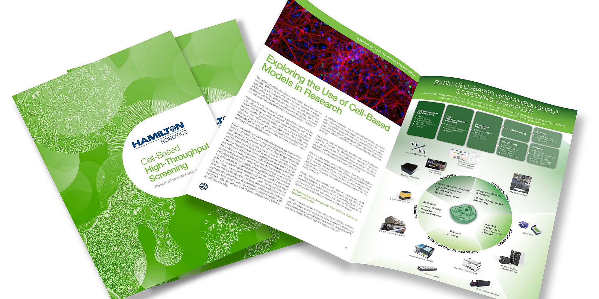Hamilton Robotics | Cell-Based High-Throughput Screening